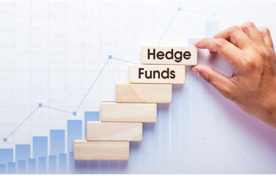 What are Hedge Funds? - Zaviad