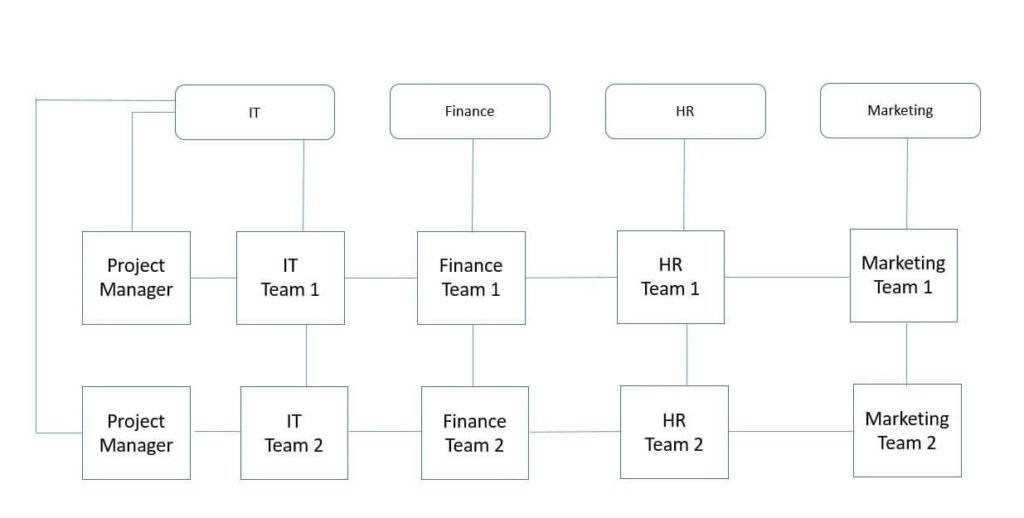 What is Functional and Natural Matrix? - Zaviad