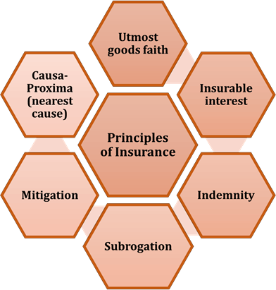 What is Subrogation in Insurance? - Zaviad