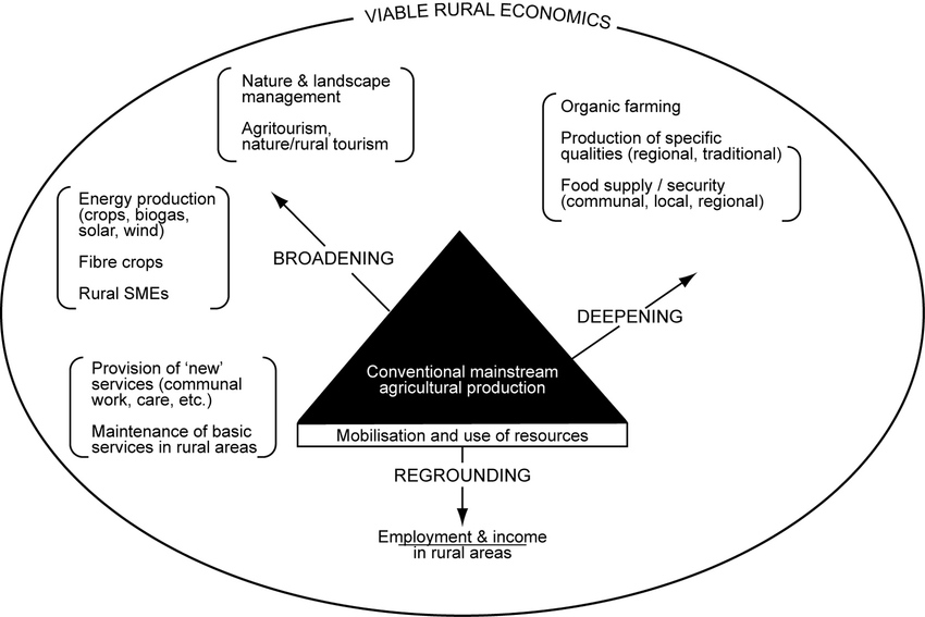 What is Multifunctional Management Development? - Zaviad